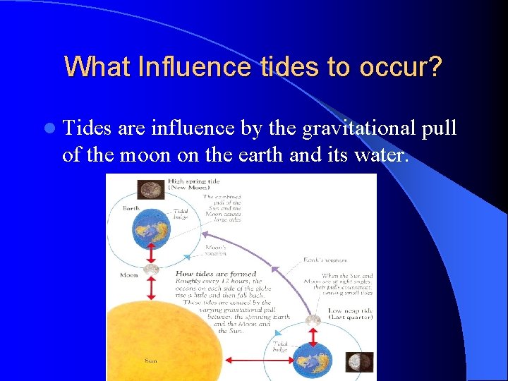 Waves And Tides What Is A Wave l