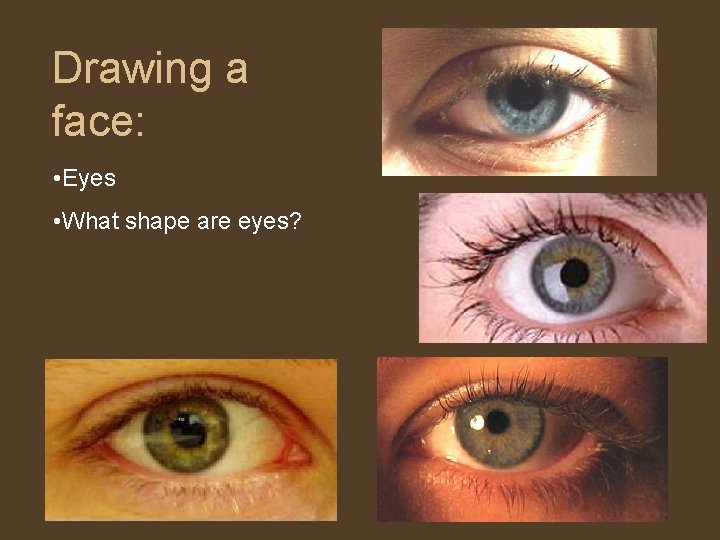 Leonardo da Vinci Facial Proportion and the SelfPortrait