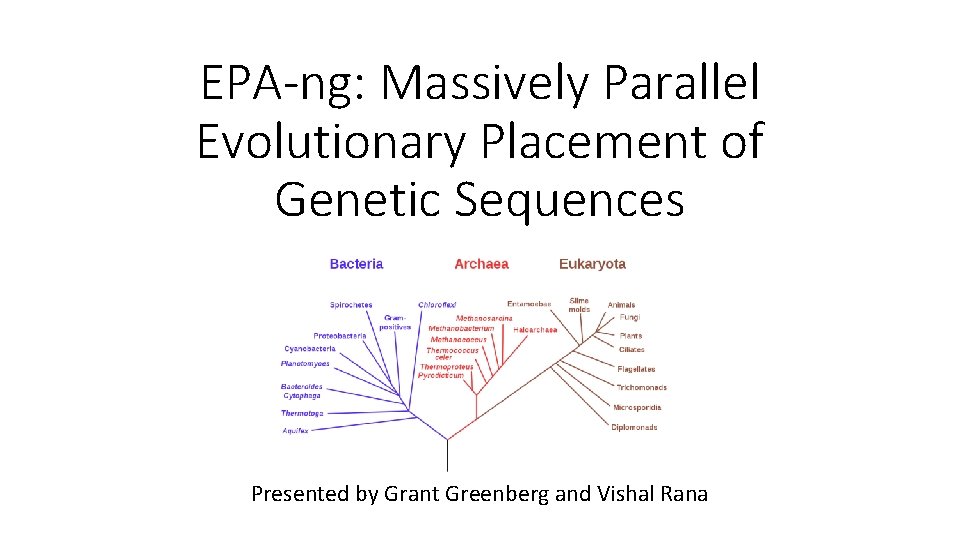Epang Massively Parallel Evolutionary Placement Of Genetic Sequences