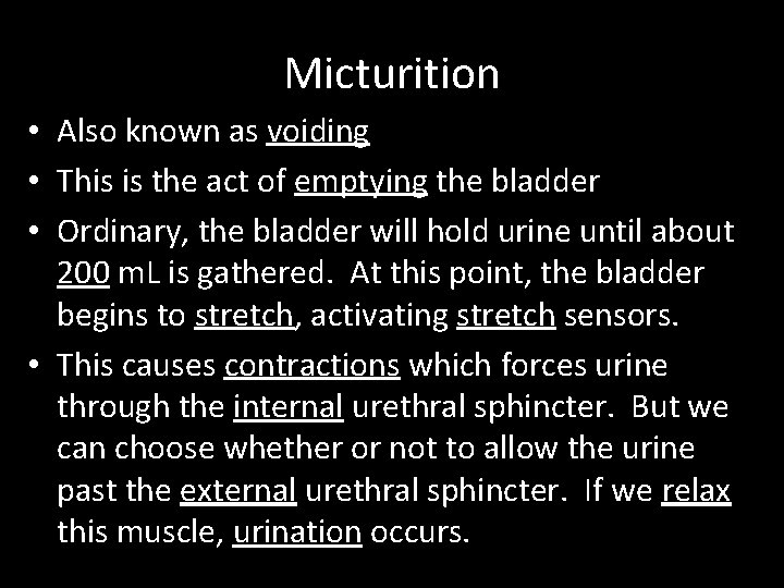 Organs of the Urinary System Kidneys Ureters Urinary