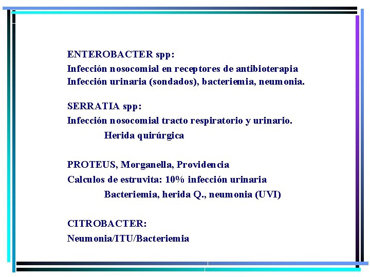 INFECCION POR ENTEROBACTERIAS Y PSEUDOMONAS Enterobacterias patgenas ...