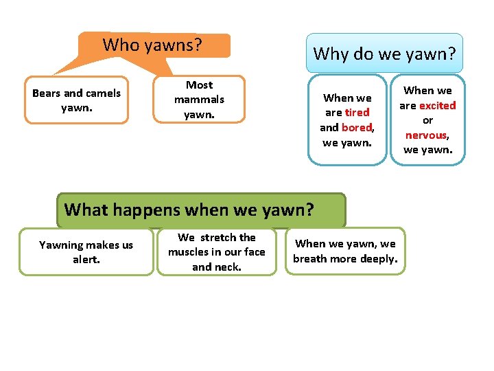UNIT 2 LESSON 1 WHY DO WE YAWN