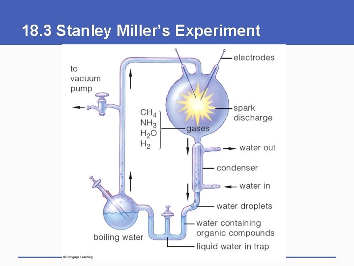 Lifes Origin and Early Evolution Chapter 18 Biology