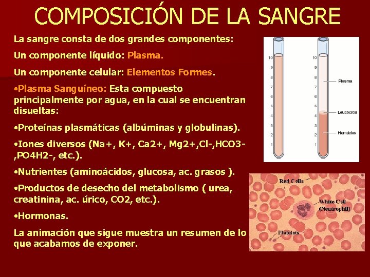 FISIOLOGA DE LA SANGRE FISIOLOGA DE LA SANGRE