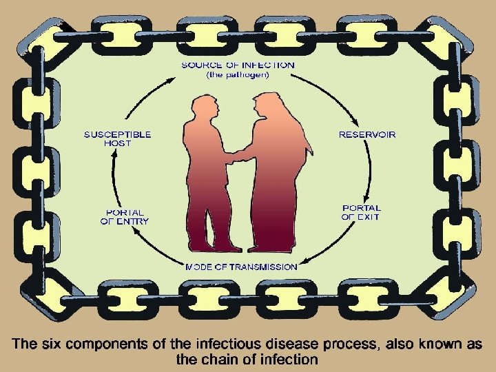 COMMON TERMINOLOGIES IN INFECTION CONTROL CONTAMINATION Bacteria present