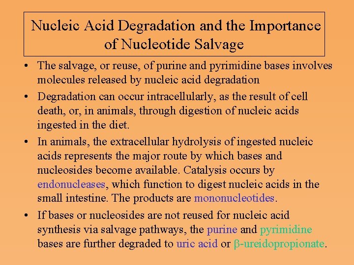 Nucleotide Metabolism Pathways in nucleotide metabolism De novo