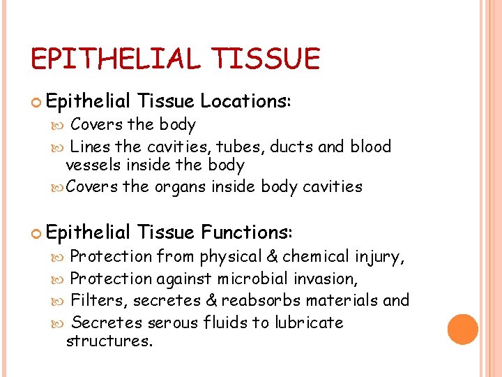 HUMAN BODY SYSTEMS UNIT 1 2 1 Tissue