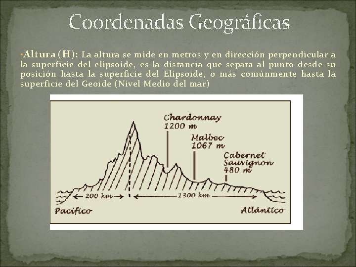 Tcnicas bsicas de orientacin natural e instrumental Preparado