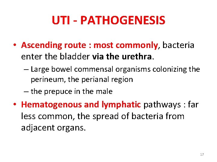 Faculty of Medicine Genitourinary System 3150036 20182019 GenitalUrinary
