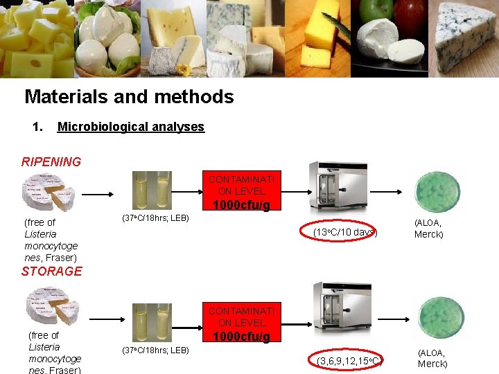 Application of predictive microbiology to control the growth