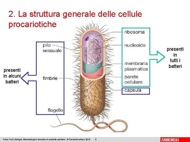 Fabio Fanti Biologia microbiologia e tecniche di controllo
