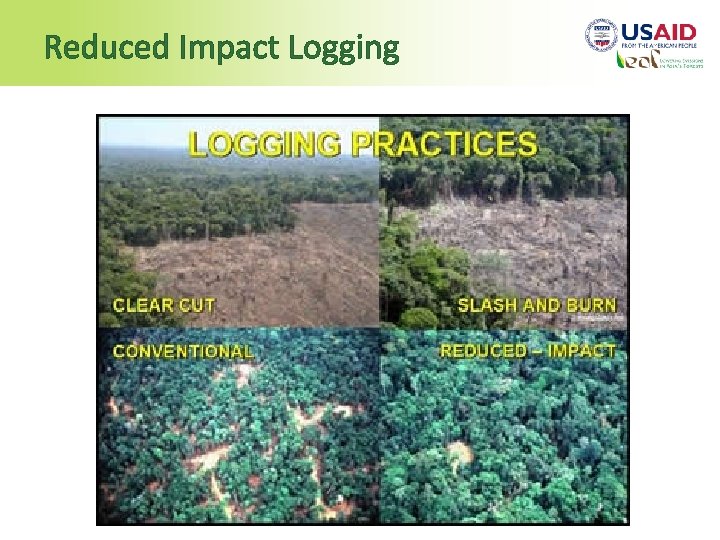 Section 1 Overview of Climate Change and Forest