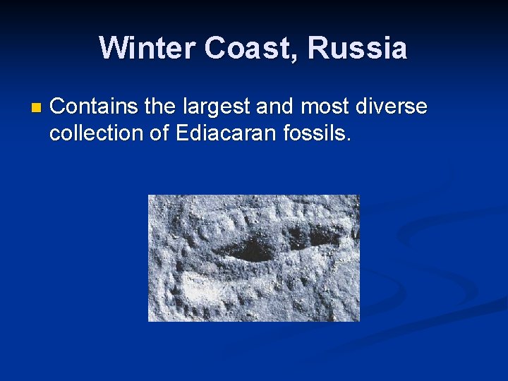 Ediacaran Life Precursors to the Cambrian Explosion Period