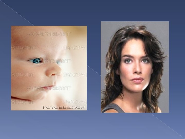 PERFILOMETRIA FACIAL PERFILOMETRIA FACIAL Conceptos ES LA PROPORCION