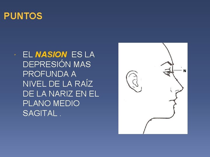PERFILOMETRIA FACIAL PERFILOMETRIA FACIAL Conceptos ES LA PROPORCION