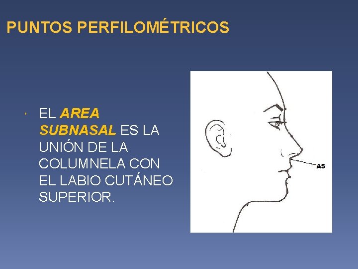 PERFILOMETRIA FACIAL PERFILOMETRIA FACIAL Conceptos ES LA PROPORCION