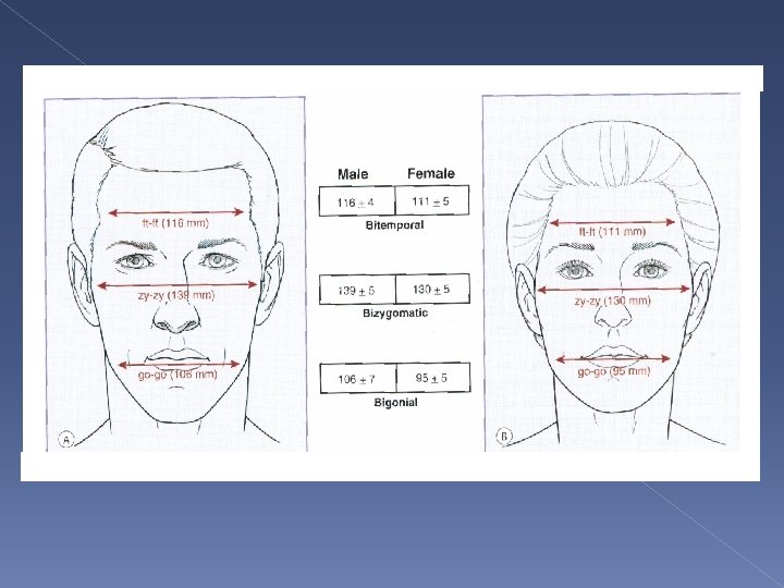 PERFILOMETRIA FACIAL PERFILOMETRIA FACIAL Conceptos ES LA PROPORCION