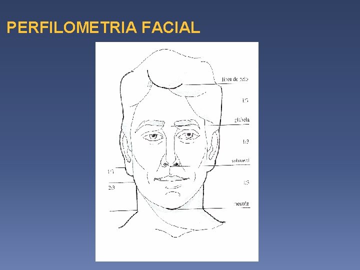 PERFILOMETRIA FACIAL PERFILOMETRIA FACIAL Conceptos ES LA PROPORCION