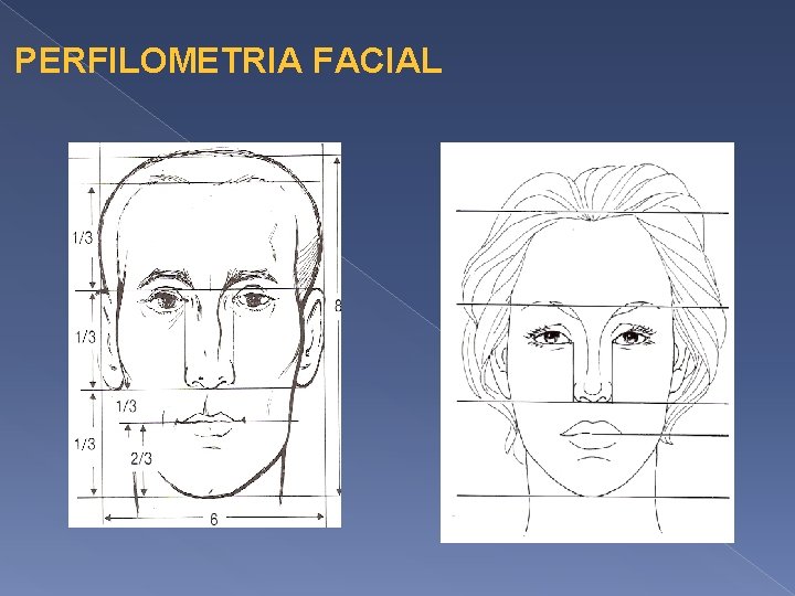 PERFILOMETRIA FACIAL PERFILOMETRIA FACIAL Conceptos ES LA PROPORCION