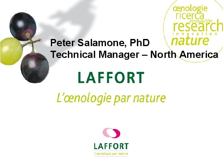 Peter Salamone Ph D Technical Manager North America