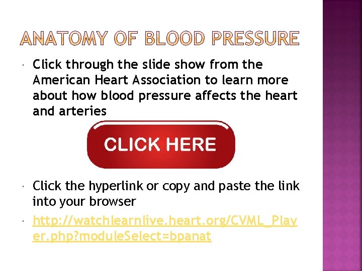Blood Pressure Anatomy Physiology Measurement of the pressure