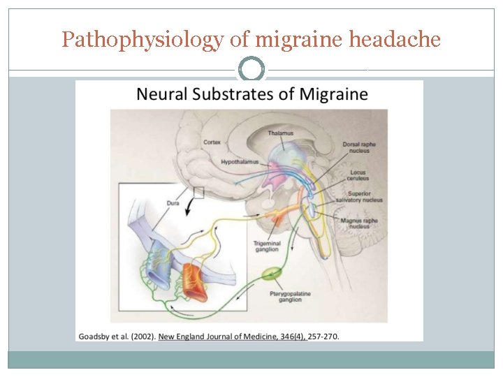 Management of migraine headaches in adults for primary