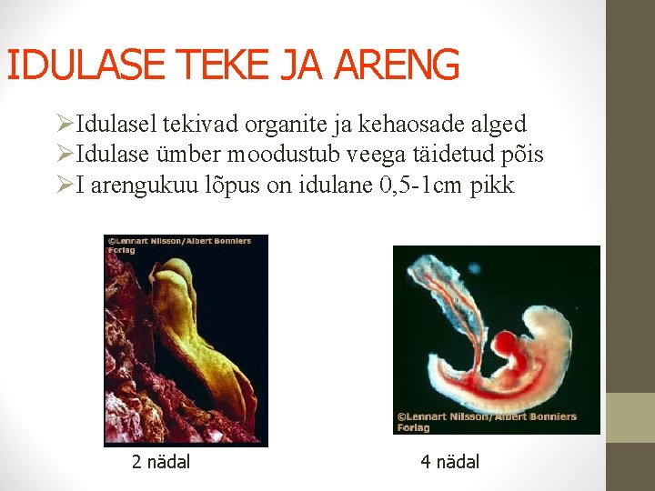 Inimese paljunemine Suguelundkonna ehitus ELUNDKONNAD histe lesannetega ...