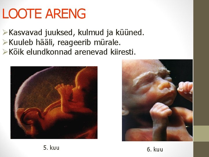 Inimese paljunemine Suguelundkonna ehitus ELUNDKONNAD histe lesannetega ...