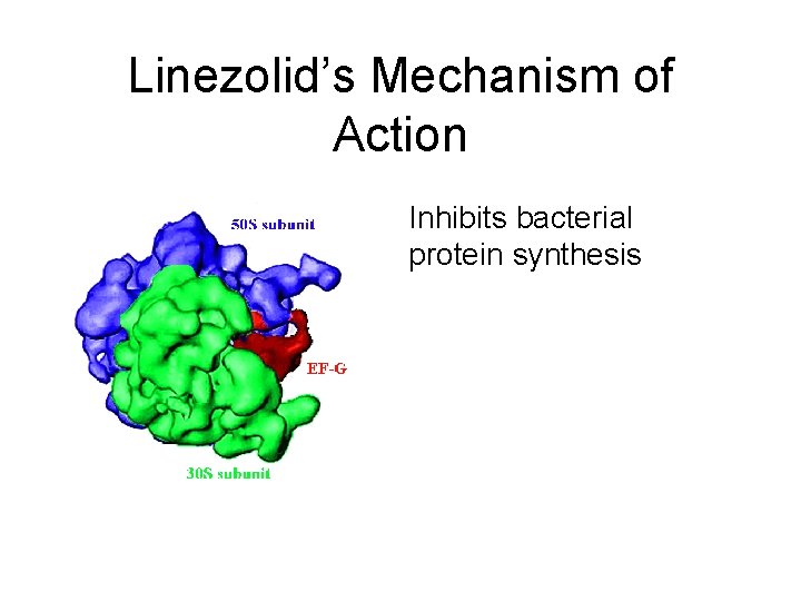 Acid Base David Shure September 2008 Overview Mitochondria