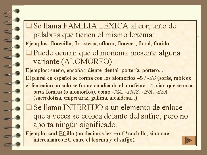 ESTRUCTURA Y FORMACIN DE LAS PALABRAS Unidad 1