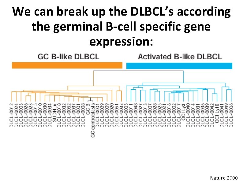Functional genomics Data mining BCH 339 N Systems