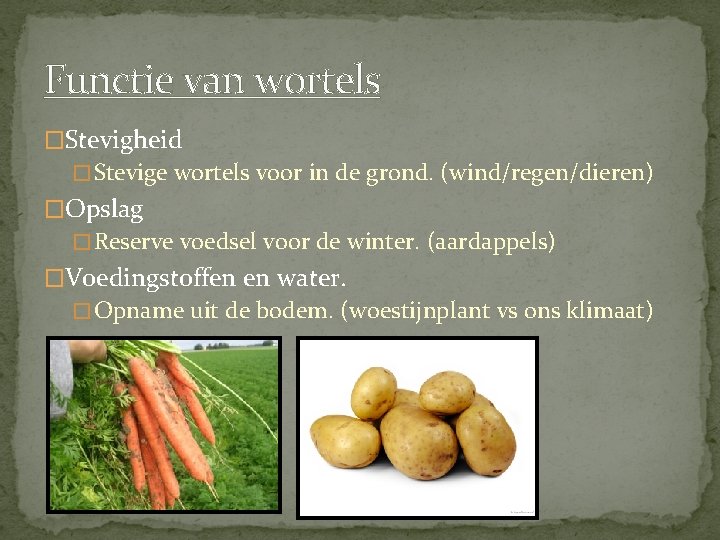 Planten Planten Soorten planten Vorm en functie Levenscyclus