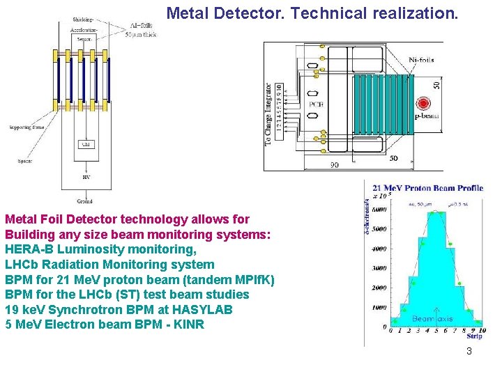 Metal Foil Detectors for Beam monitoring at HERAB