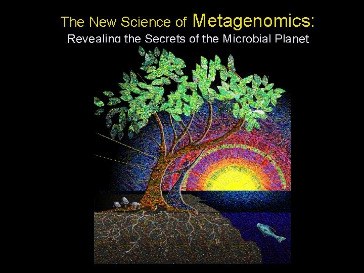 The New Science of Metagenomics Revealing the Secrets