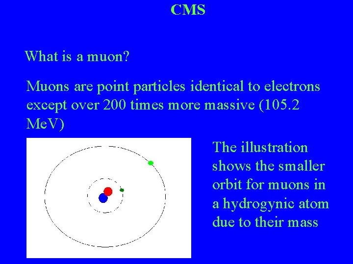 Local Performance of the Local Cathode Strip Chamber