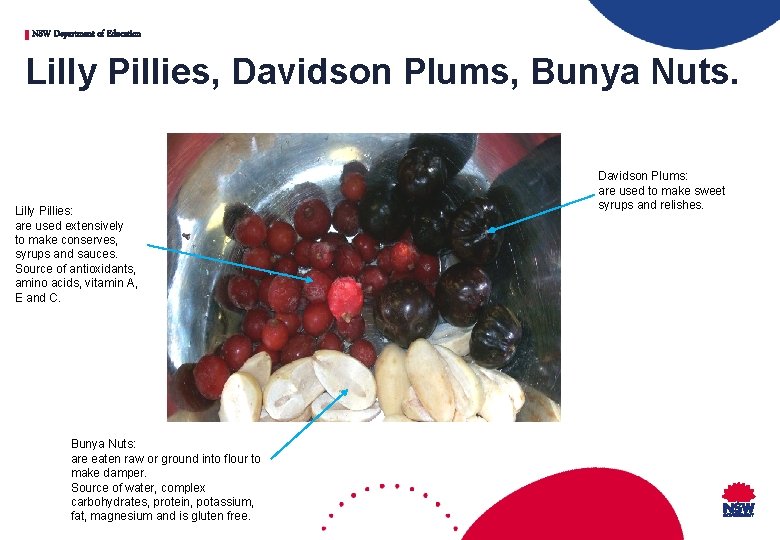 NSW Department of Education Food in Australia Bush