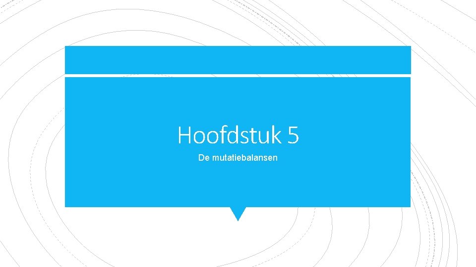 Hoofdstuk 5 De mutatiebalansen Aan het einde van