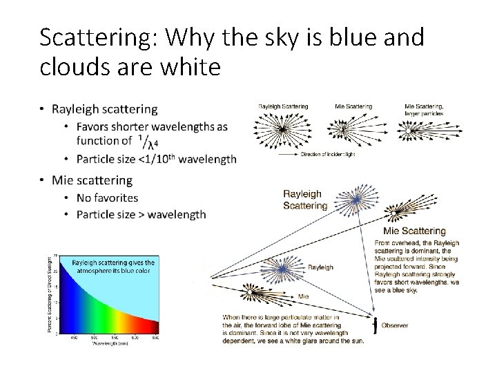 Biology 177 Principles of Modern Microscopy Lecture 10