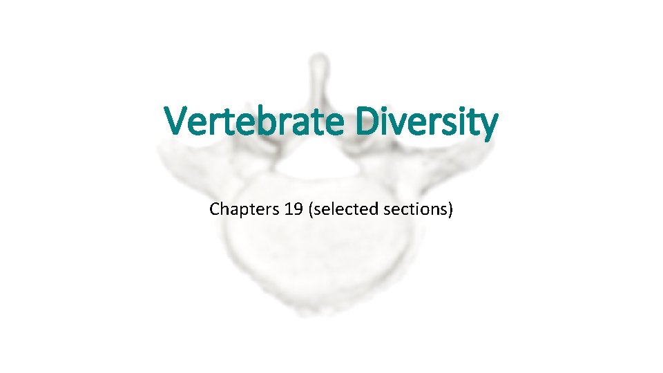 Vertebrate Diversity Chapters 19 selected sections 19 1