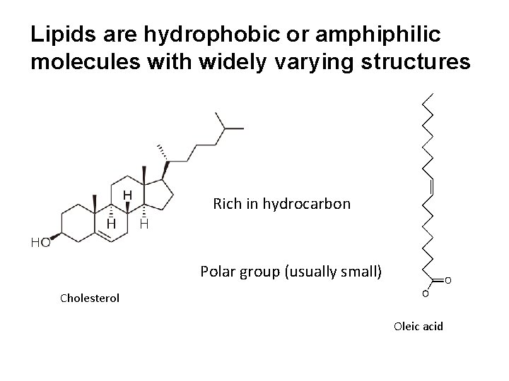 Lipids Lipids are hydrophobic or amphiphilic molecules with