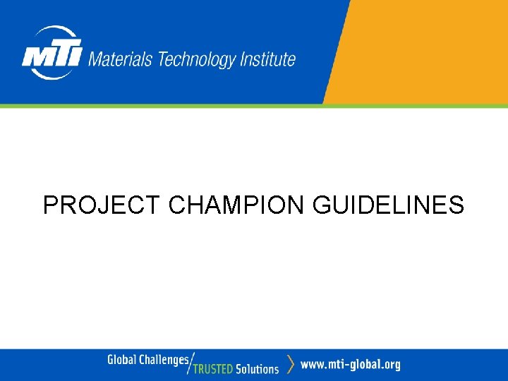 PROJECT CHAMPION GUIDELINES INTRODUCTION A Project Champion has