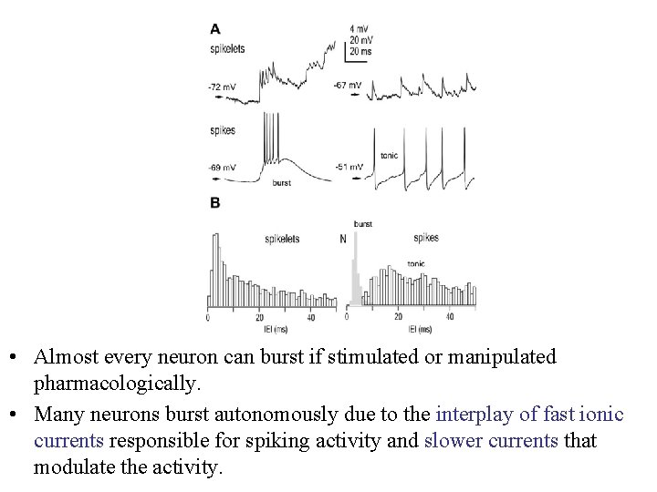 Bursting dynamics in the brain Jaeseung Jeong Department