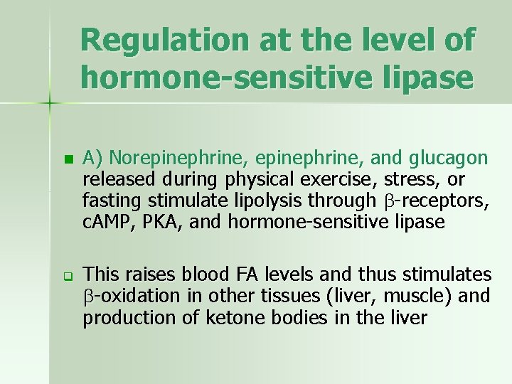 Hormonal regulation of lipid metabolism mirka rovenskalfmotol cuni
