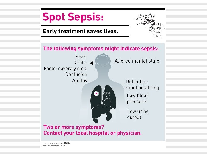 Blood Culture in Sepsis Prof MD Ahmet Baustaolu