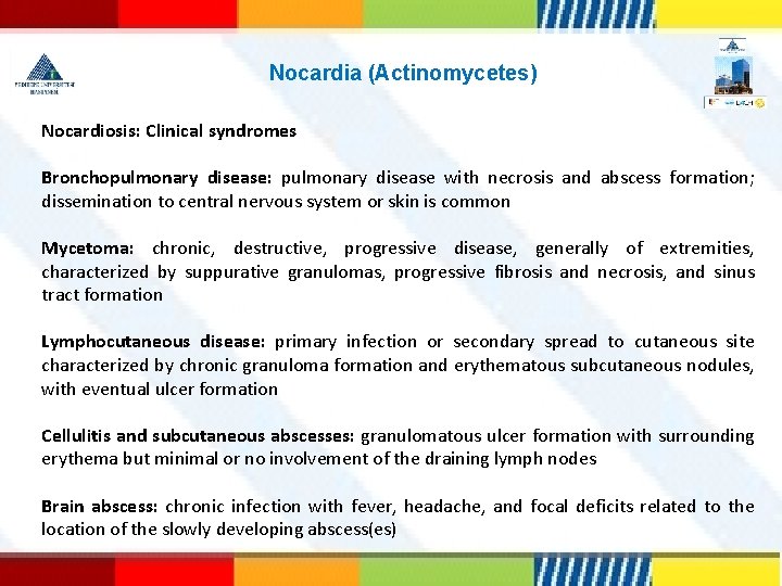Nocardia and Anaerobic bacteria Nocardia Actinomycetes Nocardia ...