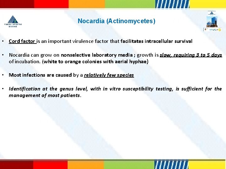Nocardia and Anaerobic bacteria Nocardia Actinomycetes Nocardia ...