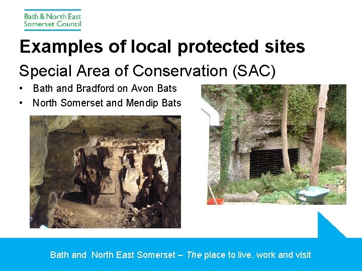 Ecology issues opportunities Why What How Examples Bath