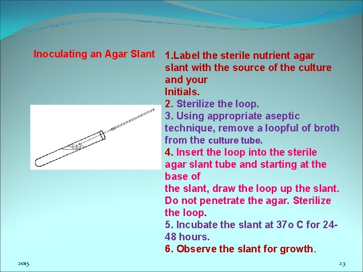 Lab 5 2015 1 Purification of microorganism Culture