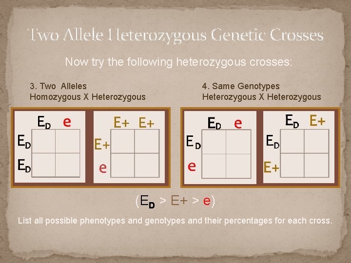 Bos Taurus Genetics Exploring Genotypes and Phenotypes of
