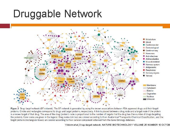 DRUGGABLE GENOME AND PROTEOME the most fruitful basis